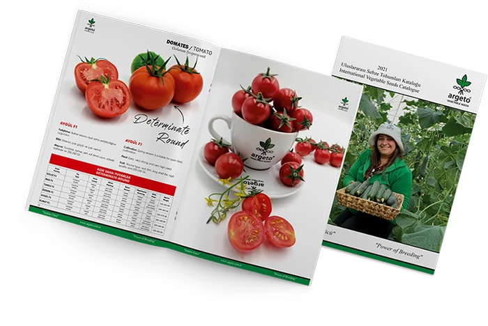 ARGETO Vegetable Seeds